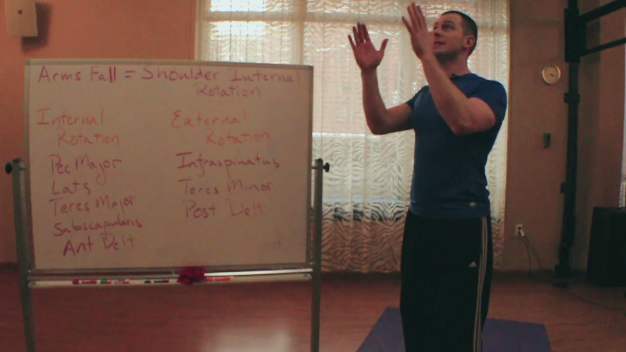 Overhead Squat Assessment 10 Arms Fall Brookbush Institute