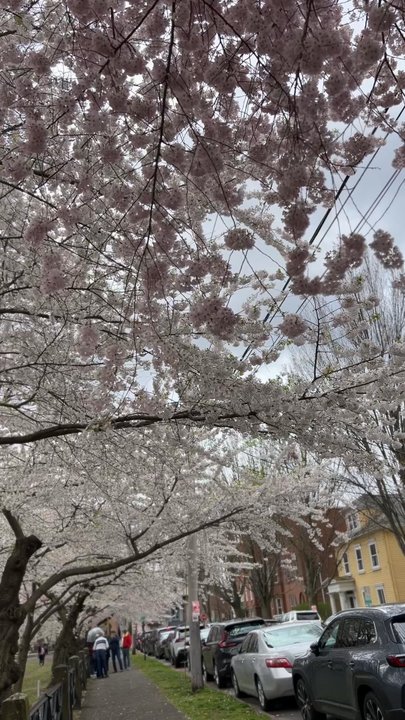 WOOSTER SQUARE PARK - Updated May 2026 - 103 Photos & 16 Reviews - 570 ...