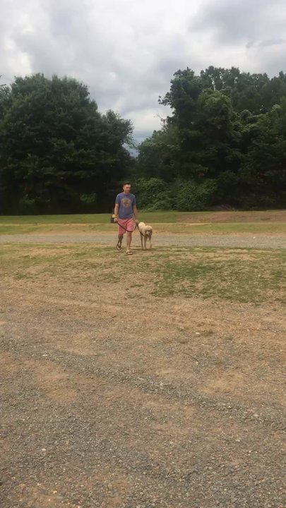 BADIN ROAD DRIVE IN THEATER - Updated September 2025 - 108 Photos & 47 ...