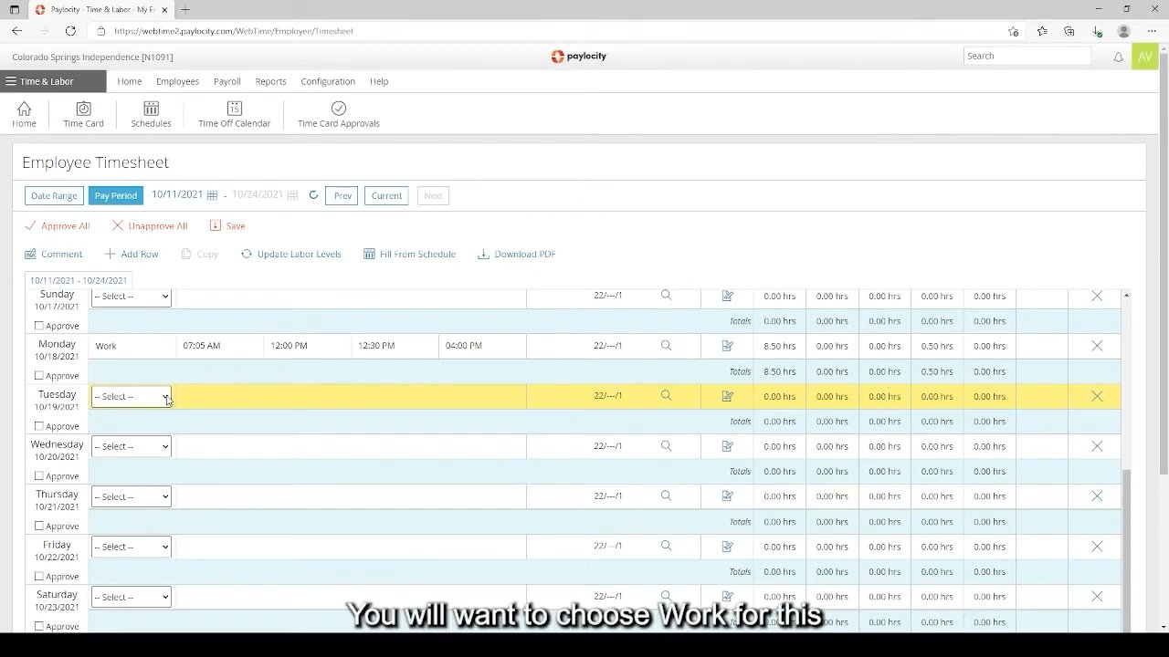 Paylocity Review 2025: Pricing, Features & Video Demo | Dimmo