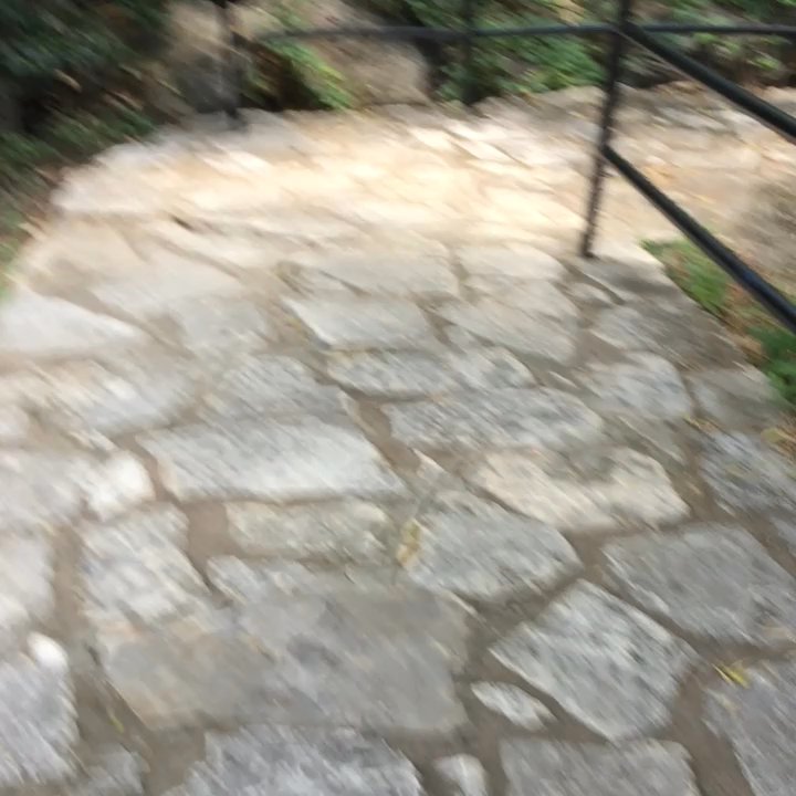 THE ARBORETUM - Updated January 2026 - 75 Photos & 34 Reviews - 10000 ...