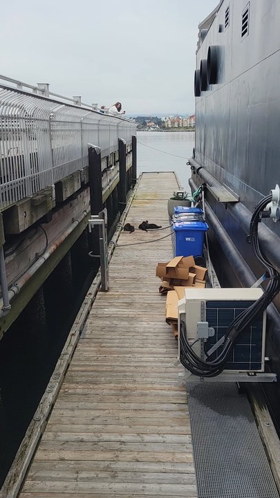 HAVN SAUNAS - Updated May 2026 - 33 Photos - 920 Wharf St, Victoria ...