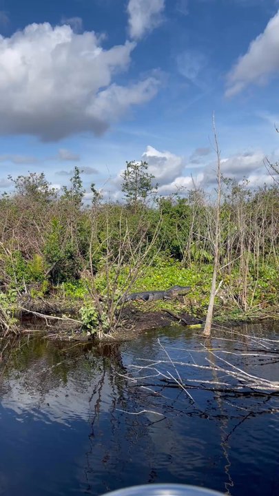 CAMP HOLLY AIRBOAT RIDES - Updated April 2026 - 146 Photos & 117 ...