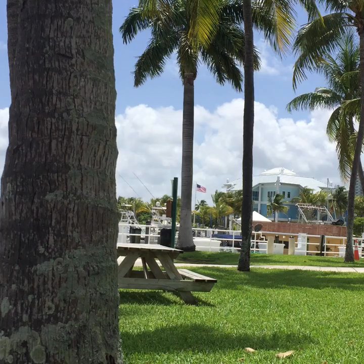 DINNER KEY MARINA - Updated October 2025 - 95 Photos & 22 Reviews ...