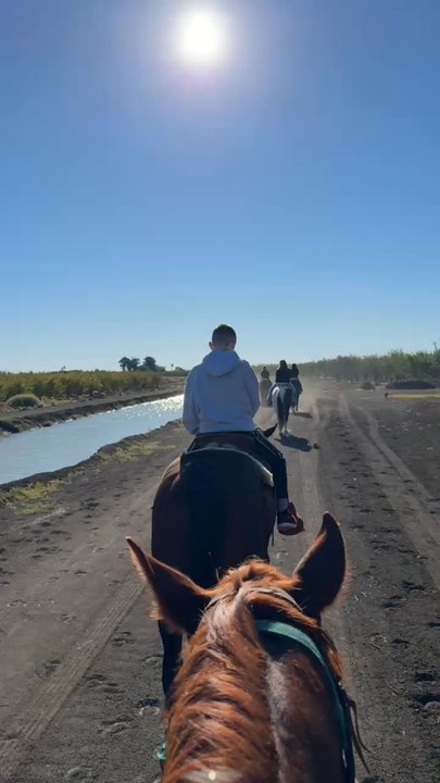 COWBOY TRAIL RIDES - Updated June 2026 - 45 Photos & 18 Reviews - 4159 ...