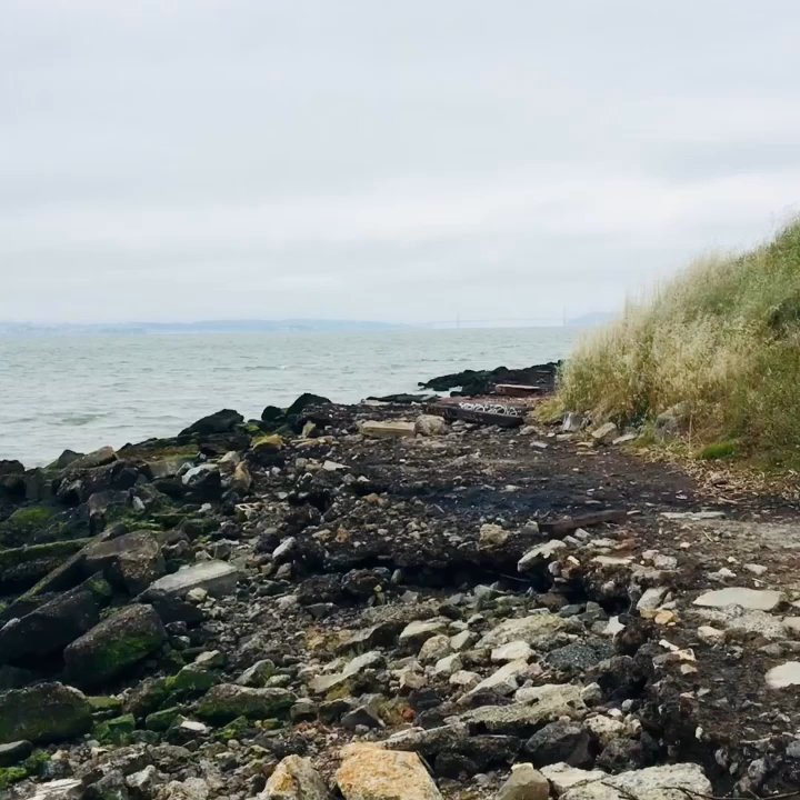 ALBANY BULB - Updated June 2025 - 1001 Photos & 247 Reviews - 1 ...