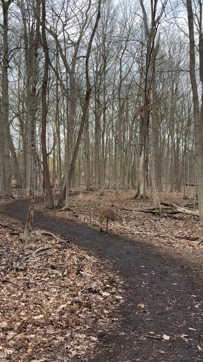 STAGE NATURE CENTER - Updated May 2026 - 87 Photos & 17 Reviews - 6685 ...