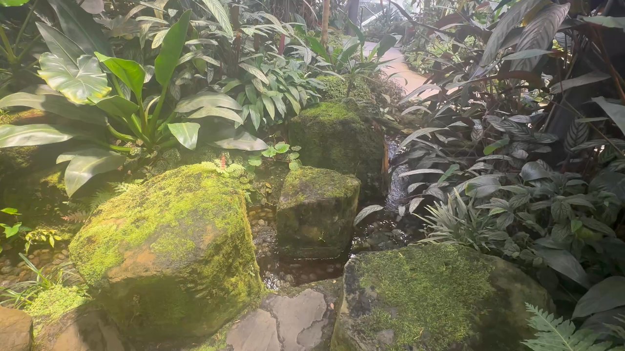 AMAZON SPHERES - Updated November 2025 - 1189 Photos & 147 Reviews ...