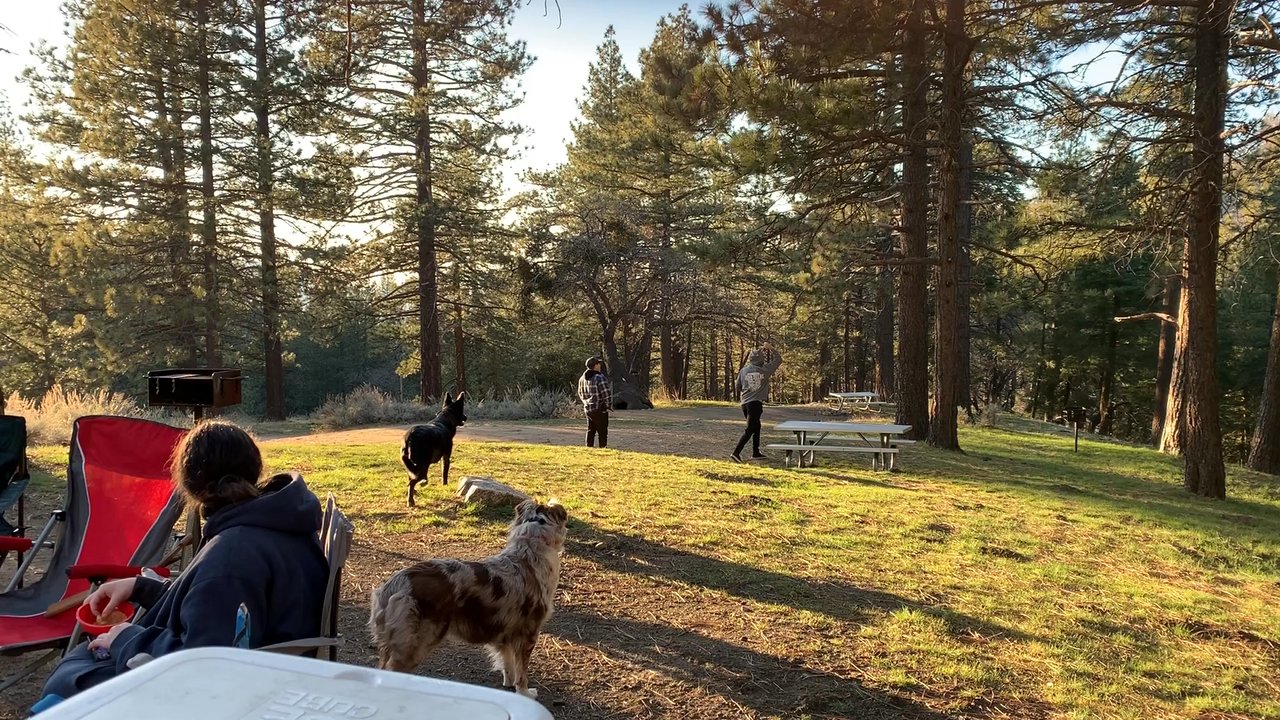 TEHACHAPI MOUNTAIN PARK - Updated December 2025 - 152 Photos & 23 ...