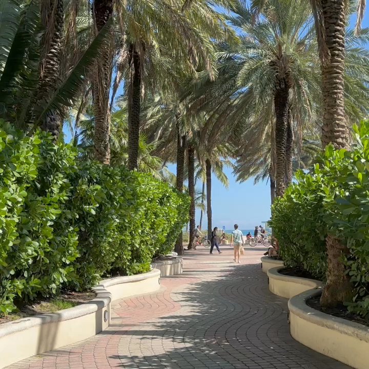 MIAMI BEACH BOARDWALK - Updated April 2025 - 326 Photos & 72 Reviews ...