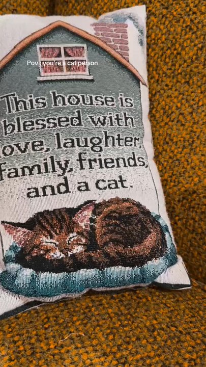 DON’T STRESS MEOWT - CAT CAFE - Updated March 2025 - 140 Photos & 20 ...