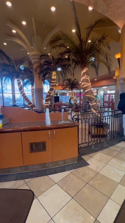 SHATILA BAKERY - DEARBORN - Updated July 2025 - 1133 Photos & 889 ...