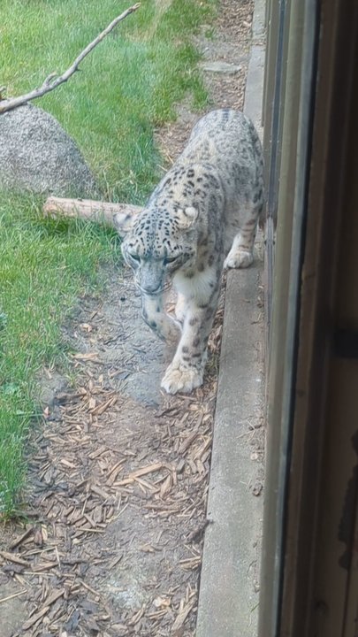 WILDER INSTITUTE CALGARY ZOO - Updated December 2025 - 663 Photos & 167 ...