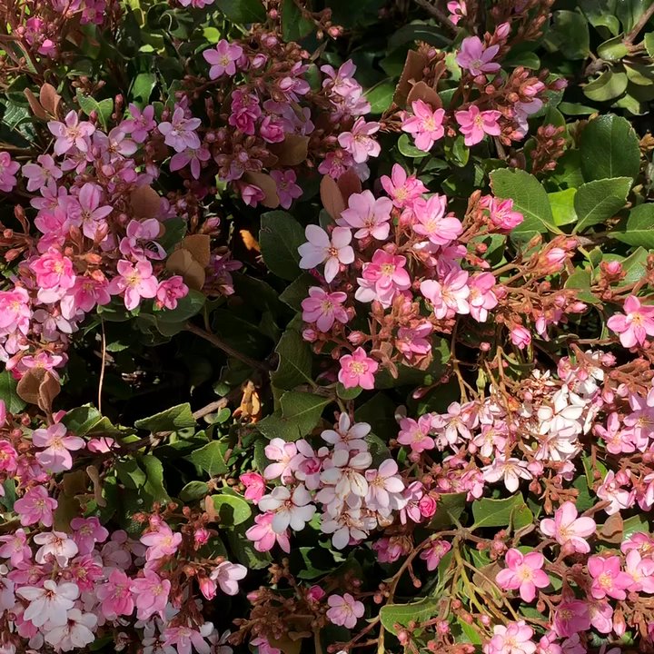 RED RIDGE PARK - Updated February 2025 - 507 Photos & 62 Reviews - 9135 ...