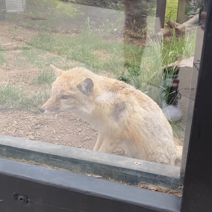 RED RIVER ZOO - Updated December 2025 - 183 Photos & 39 Reviews - 4255 ...