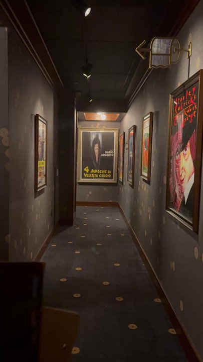 METRO PRIVATE CINEMA - Updated May 2026 - 50 Photos & 16 Reviews - 131 ...