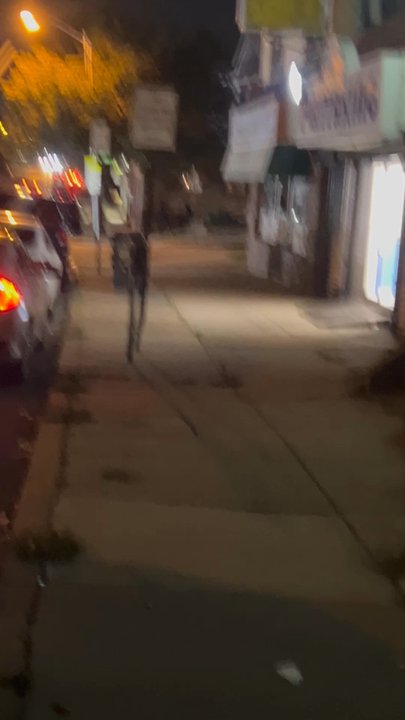 PLATTAKING - Updated July 2025 - 57 Photos & 30 Reviews - 5514 Belair ...