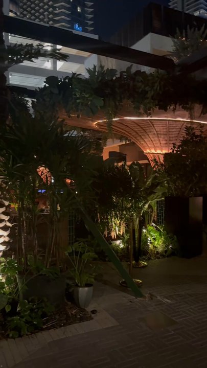 AMAZÓNICO MIAMI - Updated January 2026 - 235 Photos & 65 Reviews - 800 ...
