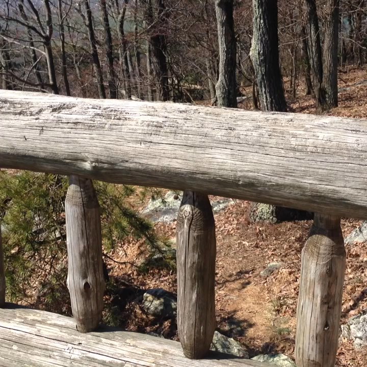 GAMBRILL STATE PARK - Updated October 2025 - 67 Photos & 23 Reviews ...