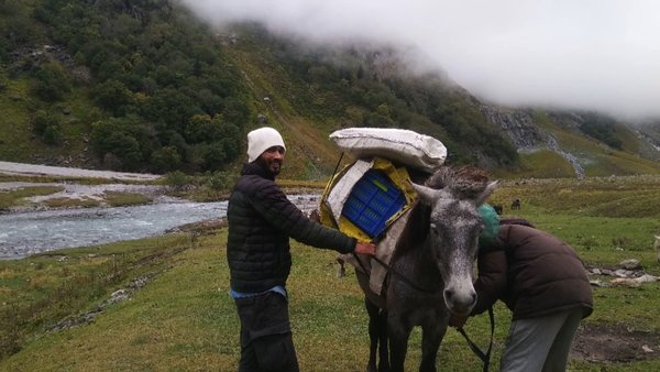 Great Himalayan National Park: A Complete Guide To The UNESCO World ...