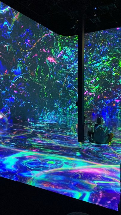 ARTECHOUSE - Updated June 2025 - 141 Photos & 40 Reviews - 600 W 6th St ...