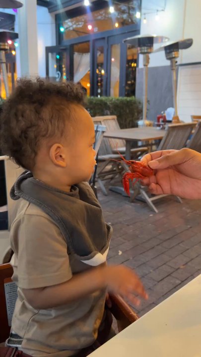 HALF SHELLS SEAFOOD GRILL - Updated October 2025 - 672 Photos & 604 ...