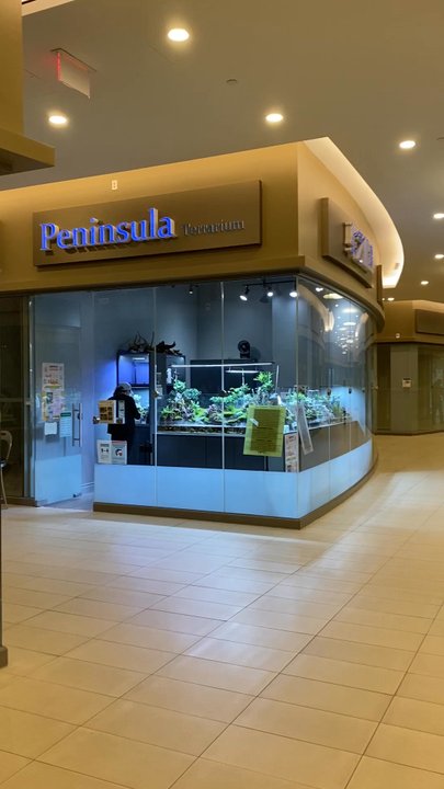 KING SQUARE SHOPPING MALL - Updated May 2026 - 67 Photos & 13 Reviews ...