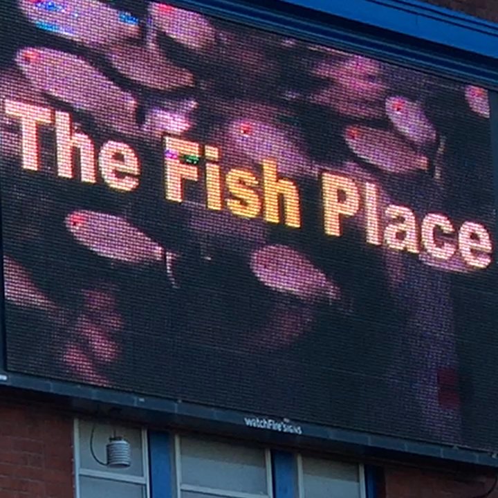 THE FISH PLACE - Updated March 2025 - 128 Photos & 77 Reviews - 141 ...