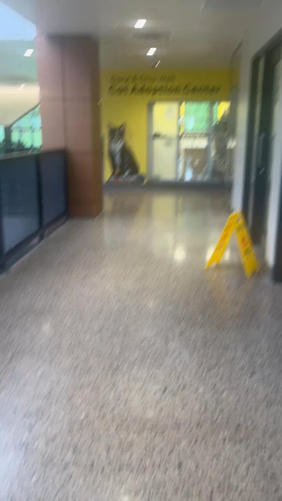 ARIZONA HUMANE SOCIETY - PAPAGO PARK CAMPUS - Updated January 2026 - 49 ...