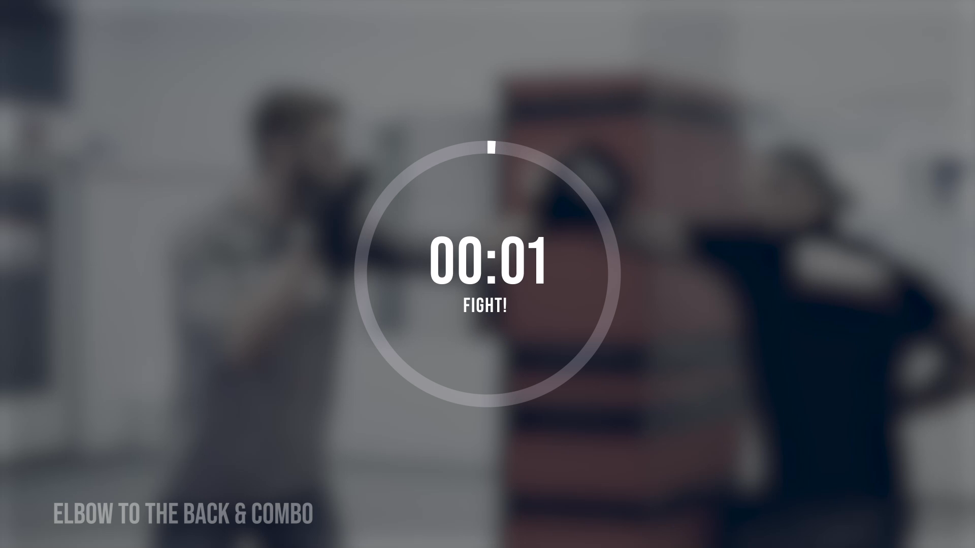 Online Catalogue | SAMI-X