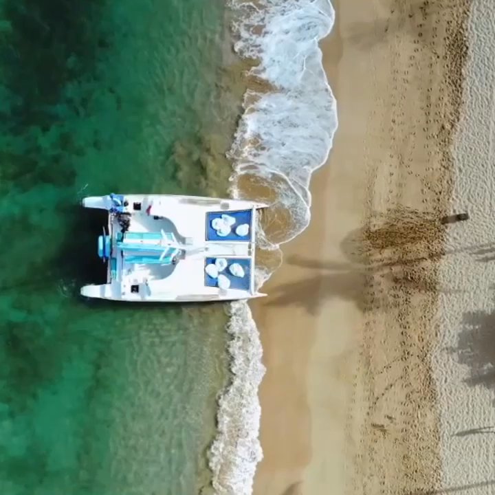 SEA MAUI - Updated July 2025 - 888 Photos & 1068 Reviews - 2435 ...