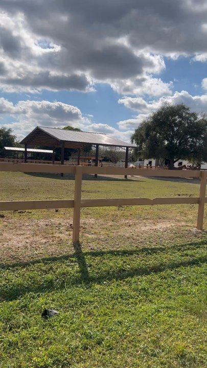 PINTO’S FARM - Updated January 2026 - 589 Photos & 190 Reviews - 14890 ...
