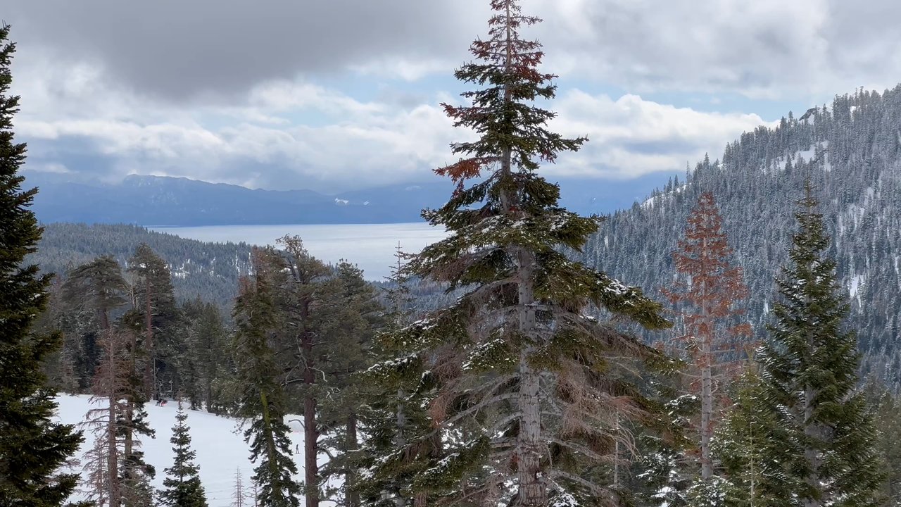 PALISADES TAHOE ALPINE LODGE - Updated December 2025 - 181 Photos & 259 ...