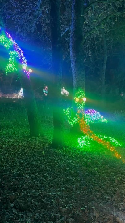 TURTLE BAY EXPLORATION PARK - Updated December 2025 - 591 Photos & 177 ...