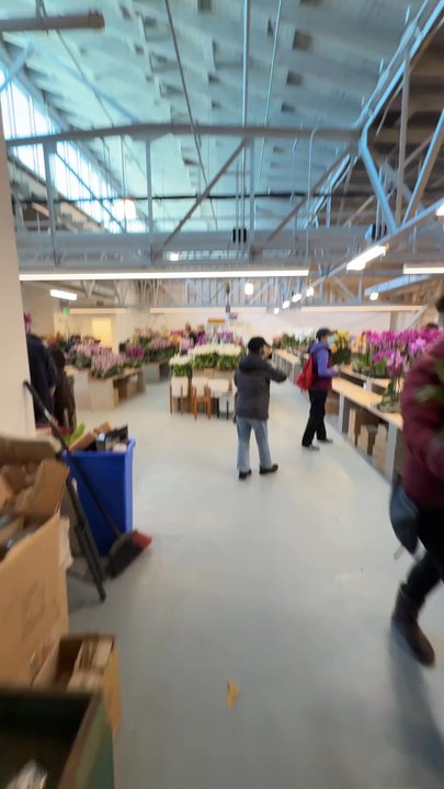 SF FLOWER MARKET - Updated November 2025 - 52 Photos - 901 16th St, San ...