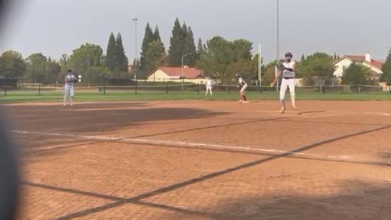 Softball Transfer portal announcements | FieldLevel