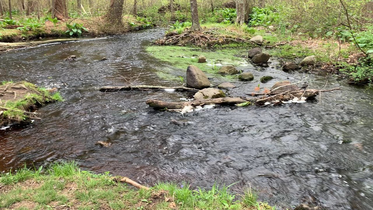 NORRIS RESERVATION - Updated May 2026 - 97 Photos & 10 Reviews - Dover ...