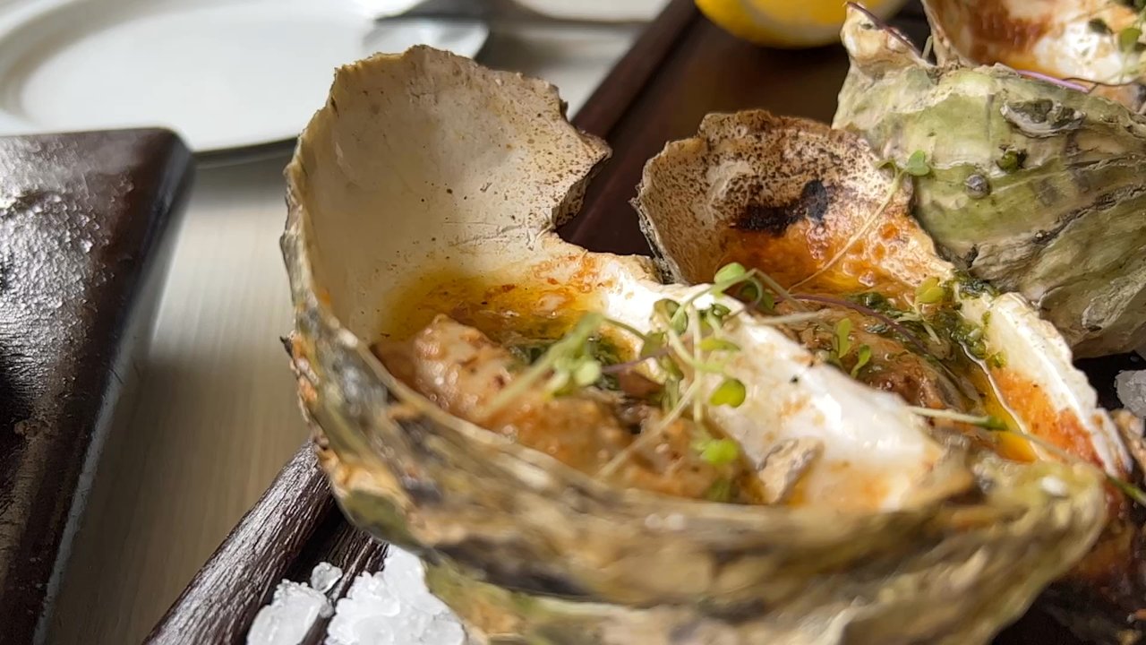 LION FISH - Updated June 2025 - 1083 Photos & 449 Reviews - Erasmo ...