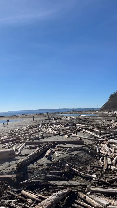 DOUBLE BLUFF BEACH - Updated May 2026 - 183 Photos & 75 Reviews - 6374 ...
