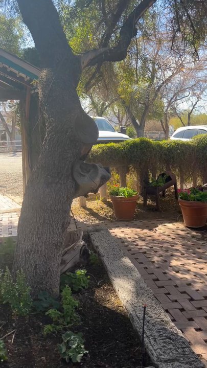 THE FARM AT SOUTH MOUNTAIN - Updated October 2025 - 956 Photos & 675 ...