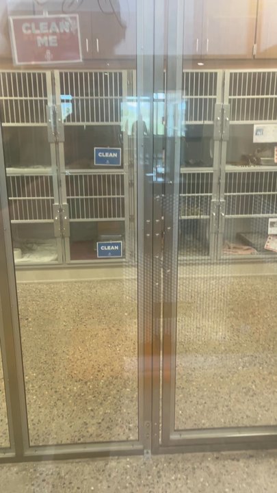 ARIZONA HUMANE SOCIETY - PAPAGO PARK CAMPUS - Updated January 2026 - 49 ...