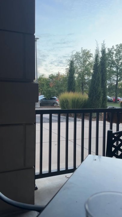 FIREBIRDS WOOD FIRED GRILL - Updated July 2025 - 394 Photos & 340 ...