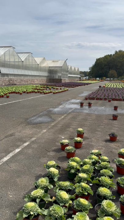 GASKO’S FAMILY FARMS - Updated June 2026 - 107 Photos & 235 Reviews ...