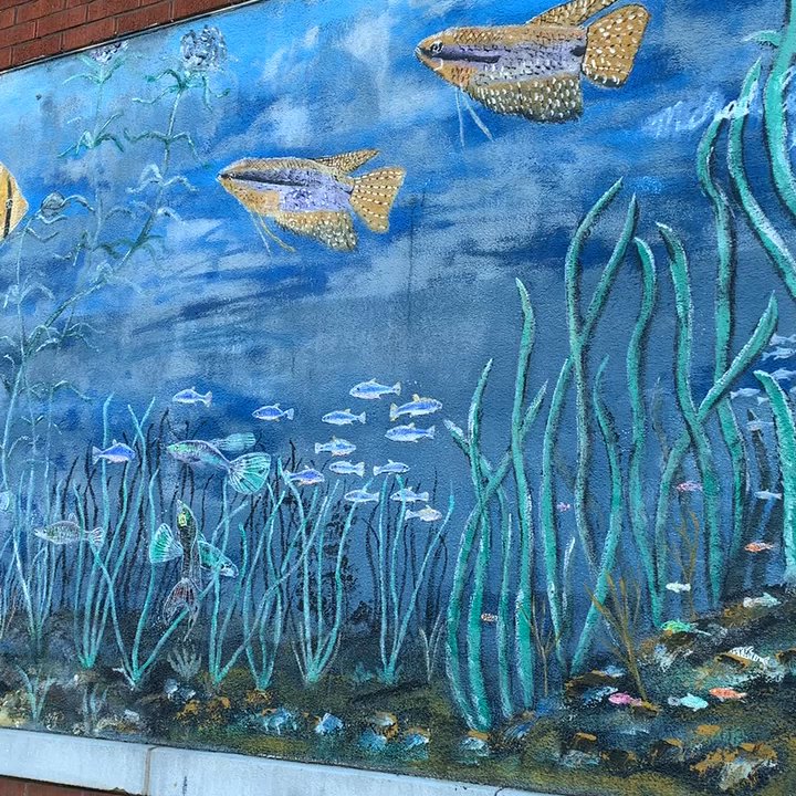 THE FISH PLACE - Updated March 2025 - 128 Photos & 77 Reviews - 141 ...