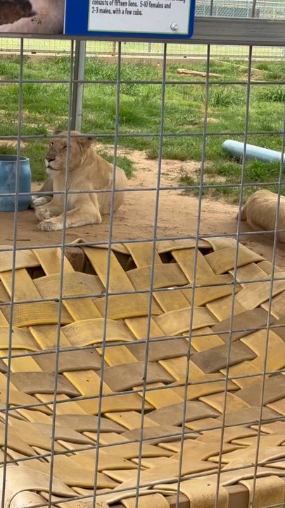 SHARKAROSA WILDLIFE RANCH - Updated February 2025 - 308 Photos & 131 ...