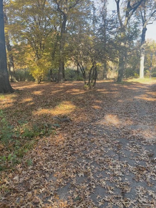 VAN CORTLANDT PARK - Updated December 2025 - 662 Photos & 90 Reviews ...