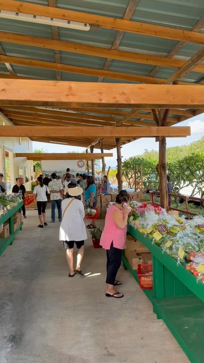 ALOUN COUNTRY MARKET - Updated May 2026 - 51 Photos - 94-488 Kunia Rd ...