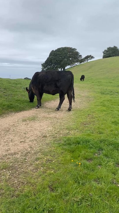 VARGAS PLATEAU REGIONAL PARK - Updated June 2026 - 400 Photos & 71 ...