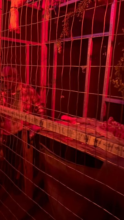 CLINTON PREMIUM OUTLETS - Updated December 2025 - 185 Photos & 155 ...