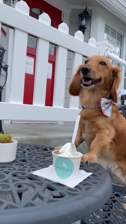 CHOCO LE’A - Updated December 2025 - 955 Photos & 187 Reviews - 2909 ...